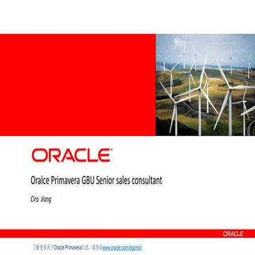 Oracle primavera 解決方案 | PPT
