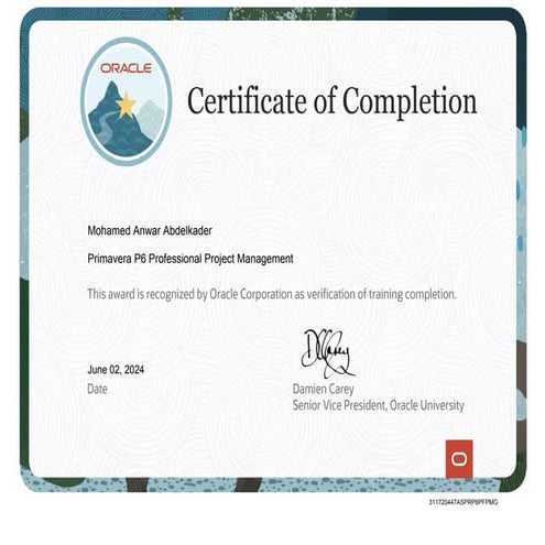 Oracle Primavera P6 Professional Project Management.pdf