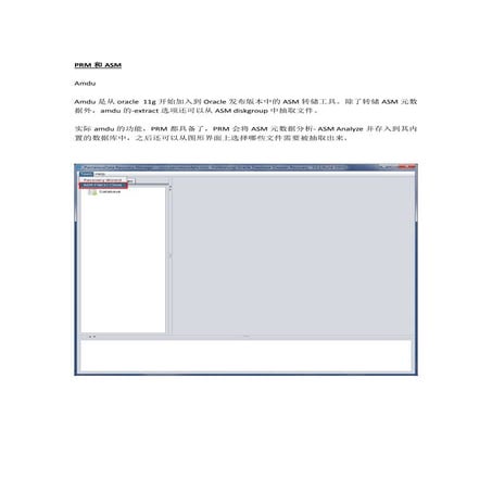 Oracle Prm数据库恢复工具与asm Pdf Databases Computer Software And