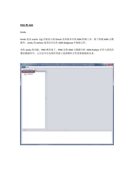 Oracle Prm数据库恢复工具与asm Pdf Databases Computer Software And