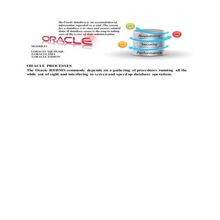 Oracle processes | DOCX