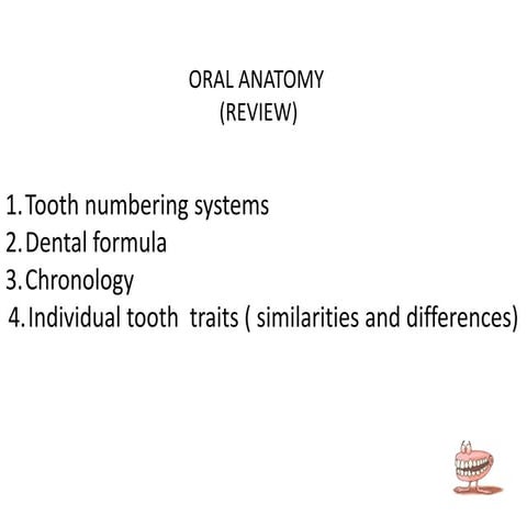 Oral Anatomy Concised Review | PPTX