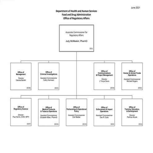 ORA Leadership Chart 2021 .pdf