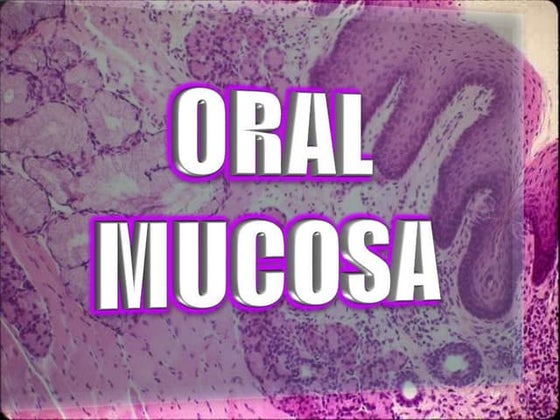 Handout of Oral Mucosa Histology | PDF