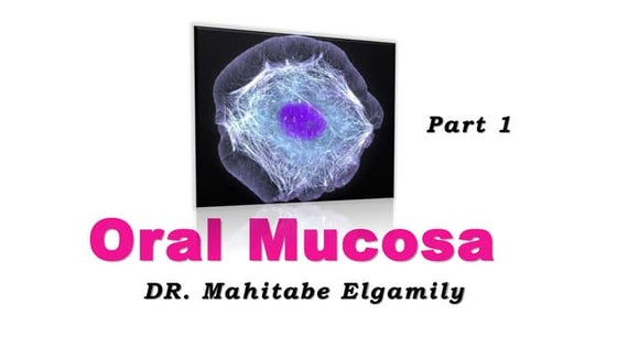 Handout of Oral Mucosa Histology | PDF | Dental Health | Diseases and ...