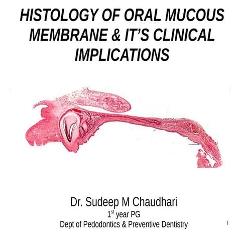 Handout of Oral Mucosa Histology | PDF