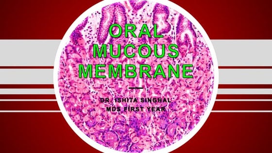 Handout of Oral Mucosa Histology | PDF