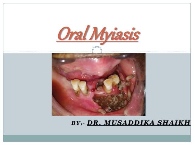 Professional mold glossary