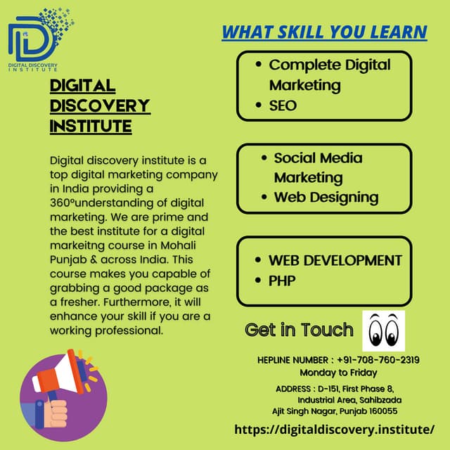 Digital Discovery Institute Infographic | PDF