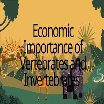 Vertebrate Animals Education Presentation.pptx