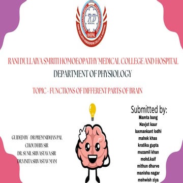 Orange Fun Nervous System Biology Group Project Presentation_20251130 ...