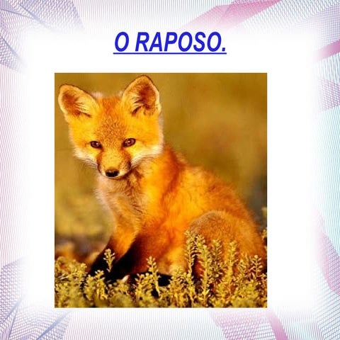 O raposo | PPT