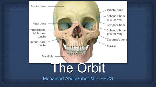 Mnemonics of Ophthalmology II | PPT