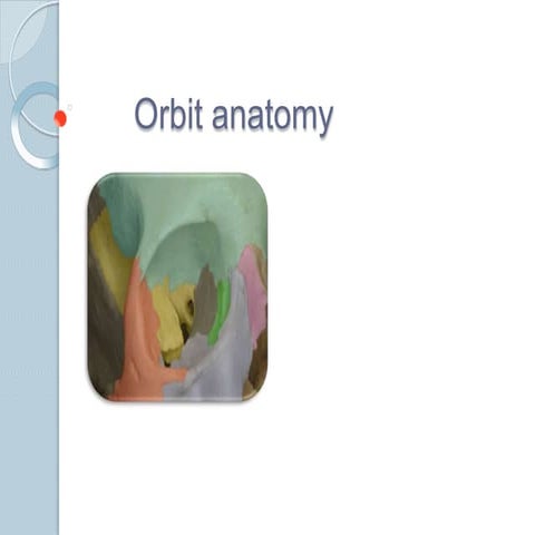 Anatomy of the orbit | PPTX