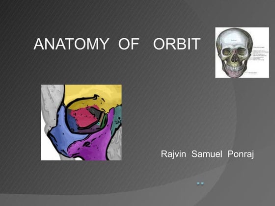 Anatomy OF ORBIT | PPT
