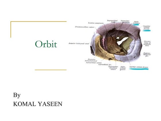 Anatomy of orbital cavity | PPT