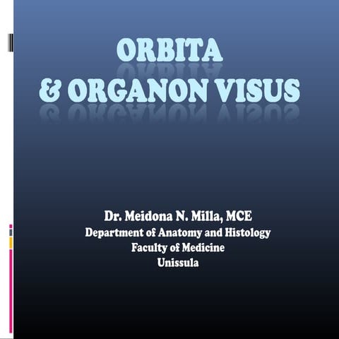 Orbita | PPT