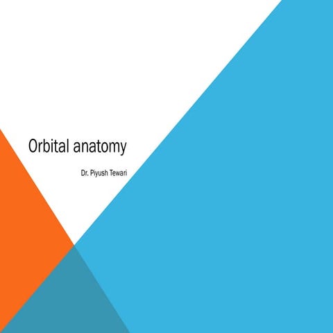 Orbital anatomy | PPT