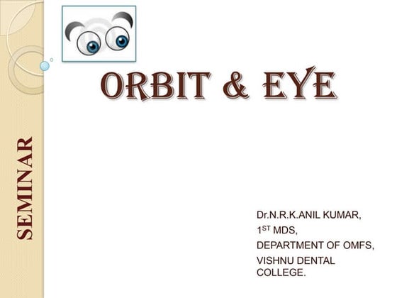 Orbit. anatomy power point presentation | PPT