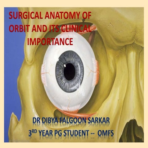 Surgical Anatomy of Orbit | PPTX