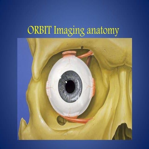 Radiographic anatomy of the face | PPTX