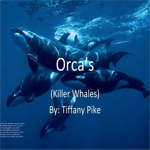Orca s | PPT