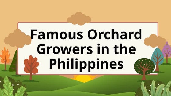 Successful Orchard Growers (1).pptx | Agriculture | Industries