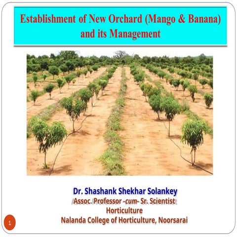 High density planting (HDP) | PPTX