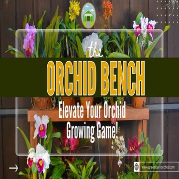 Orchid Bench: Elevate Your Orchid Growing Game! | PPT