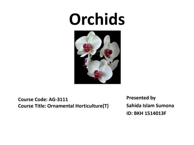 Orchids | PPTX
