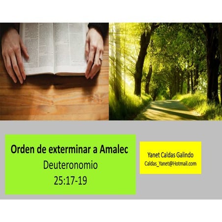 Orden de exterminar a Amalec | PDF