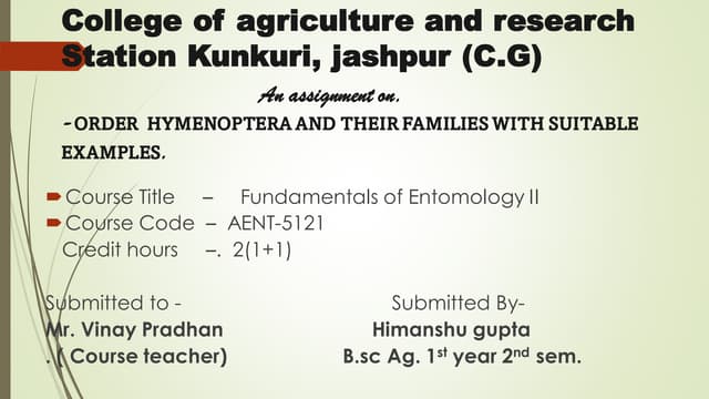 Types of Insect larvae | PPTX | Geology | Science