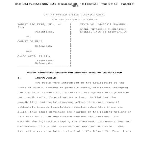 Order extending injunction | PDF