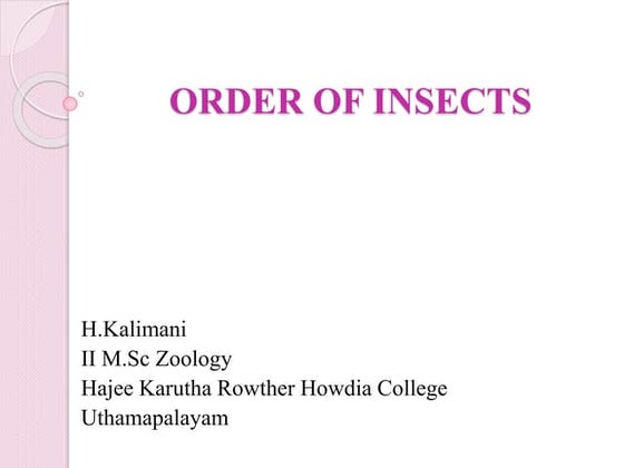 Types of Insect larvae | PPT