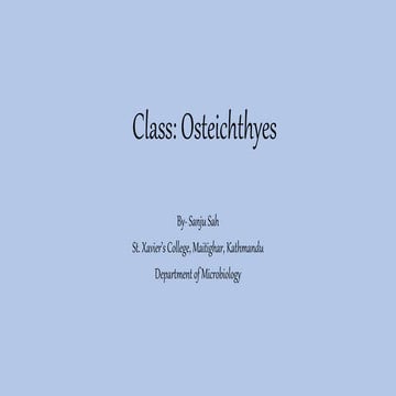 Orders of class osteichthyes | PPTX