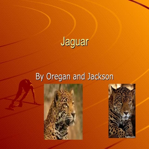 Jaguar reading comprehension.pdf