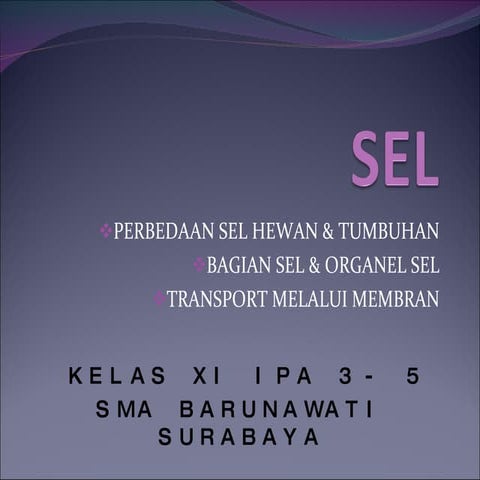 XIA Bab 1 Sel - Organel Sel | PPT