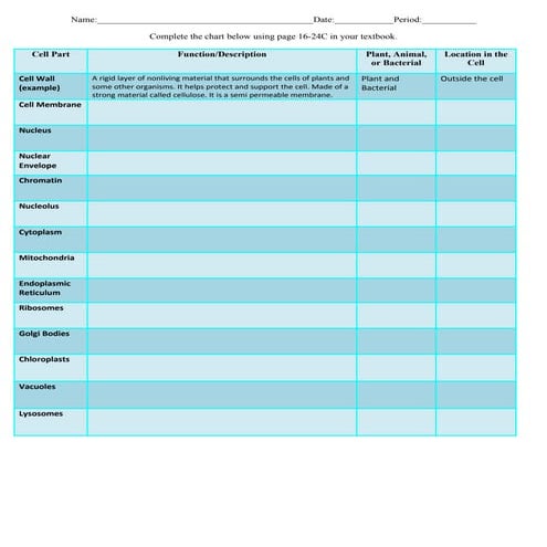 Organelle Chart | DOC