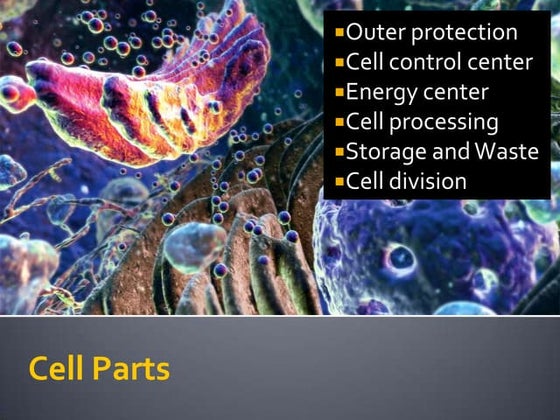 Lesson 4 Cell Modifications | PPT