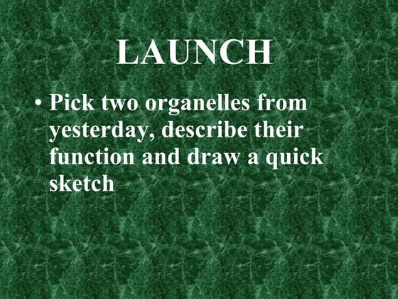 A Cell Is Like A School[1] | PPT