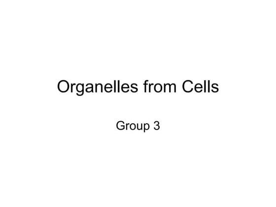 Organelles of the Plant Cell - INB Notes.pdf