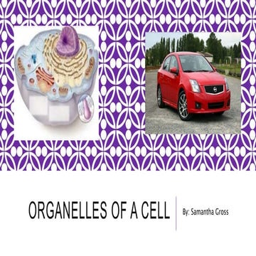 Organelles of a cell | PPTX