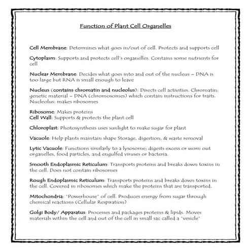 Organelles of the Plant Cell - INB Notes.pdf