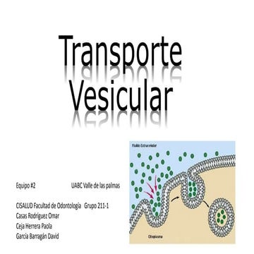 Transporte vesicular | PPTX