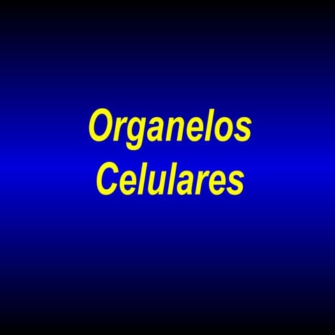 Organelos Nitroplast': Why The Discovery Of This Organelle Is A