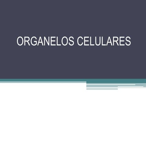 Organelos_celulares.pdf biologia celular | PDF