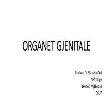 Organet Genitale powerpoint presentation anatomy lesson.pptx