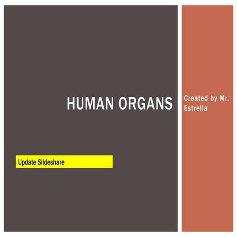 Basic Organ function | PPT