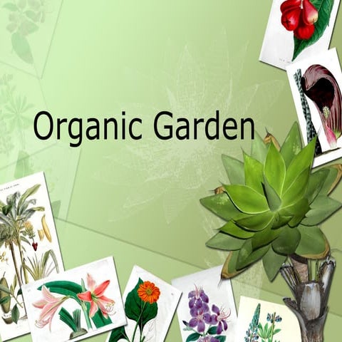 Organic | PPT