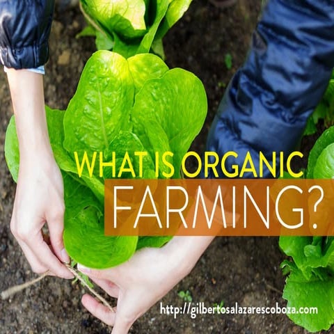 What Is Organic Farming? | PDF